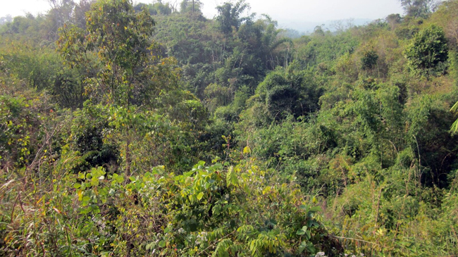 Seeking Alternatives to an Extractive Economy, U.S. Jesuit Delegation ...